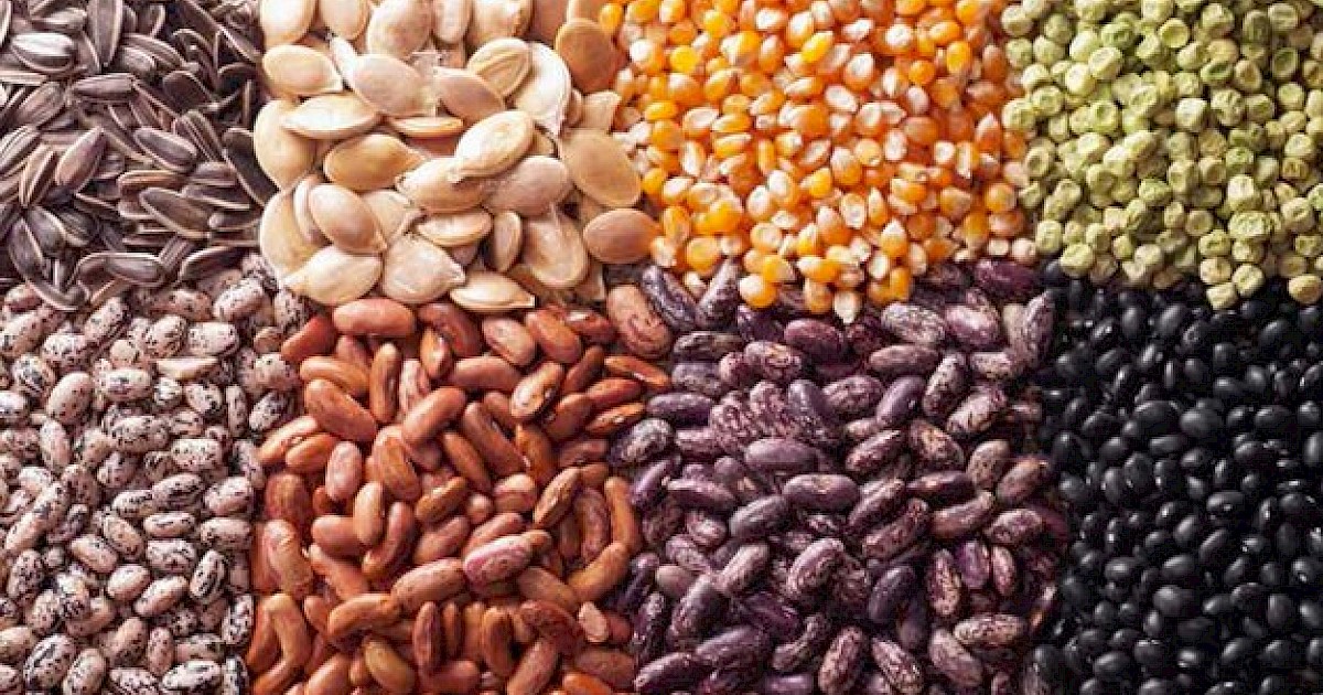 Quinoa Roja - Benmart